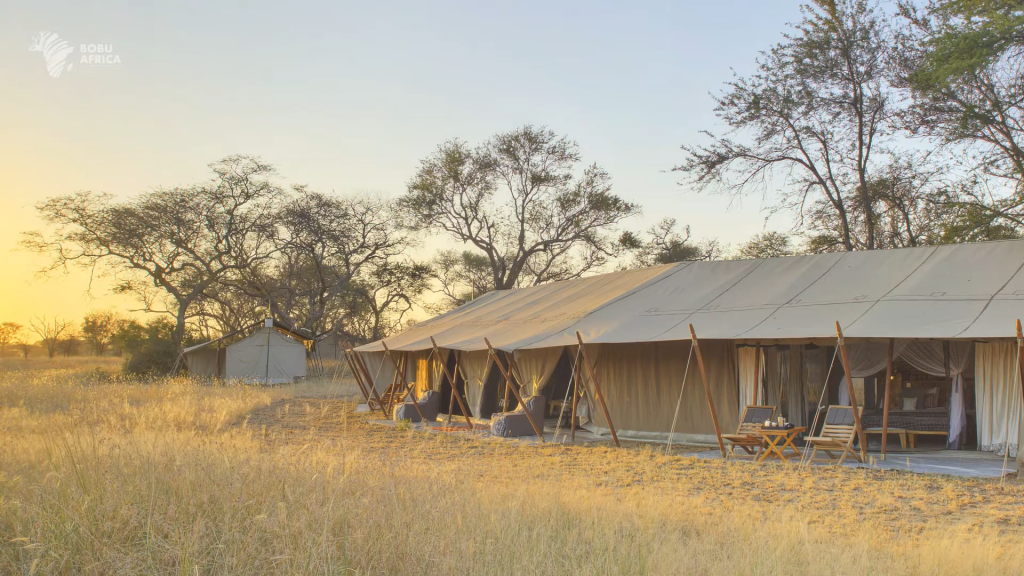 Personalized 11-Day Ultra-Luxury Mobile Camp Safari Itinerary