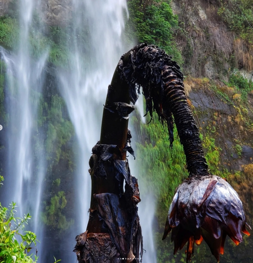 Sipi Falls Facts, Fees and Activities: A Comprehensive Overview