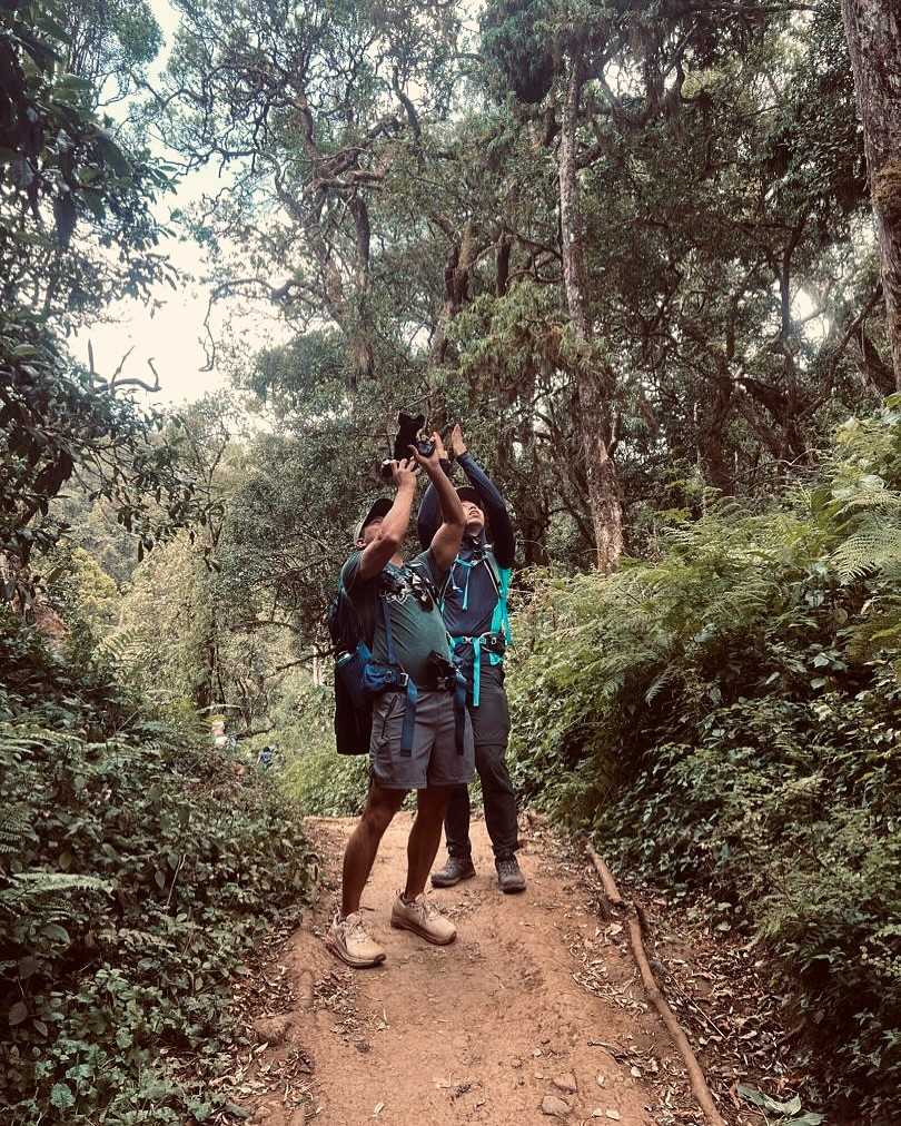 Backpacking Africa Tours: Routes, Budget Tips & Travel Guide